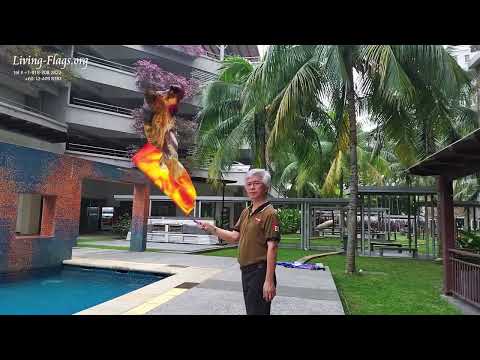 Stand & Roar - Lion-lioness - Printed Harbotai Silk Flag – Living Flags ...